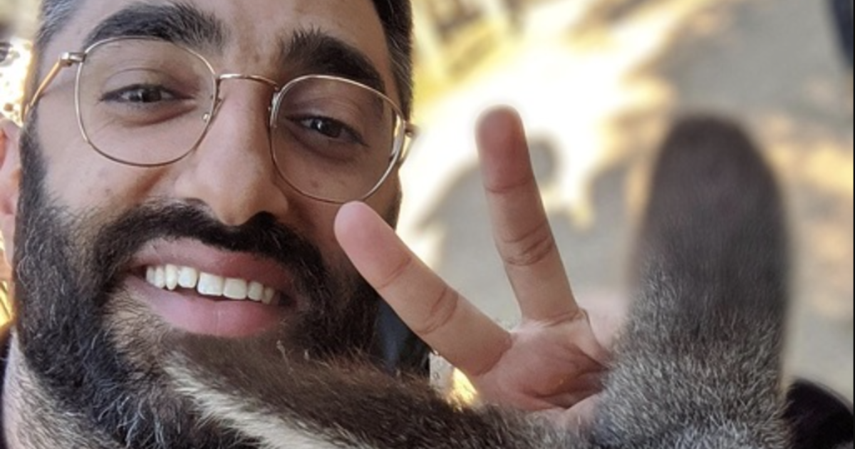 Walid Halabi | Ignition